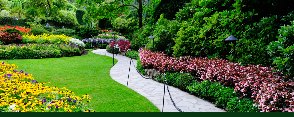 Greener Horizon - Landscape Management & Construction